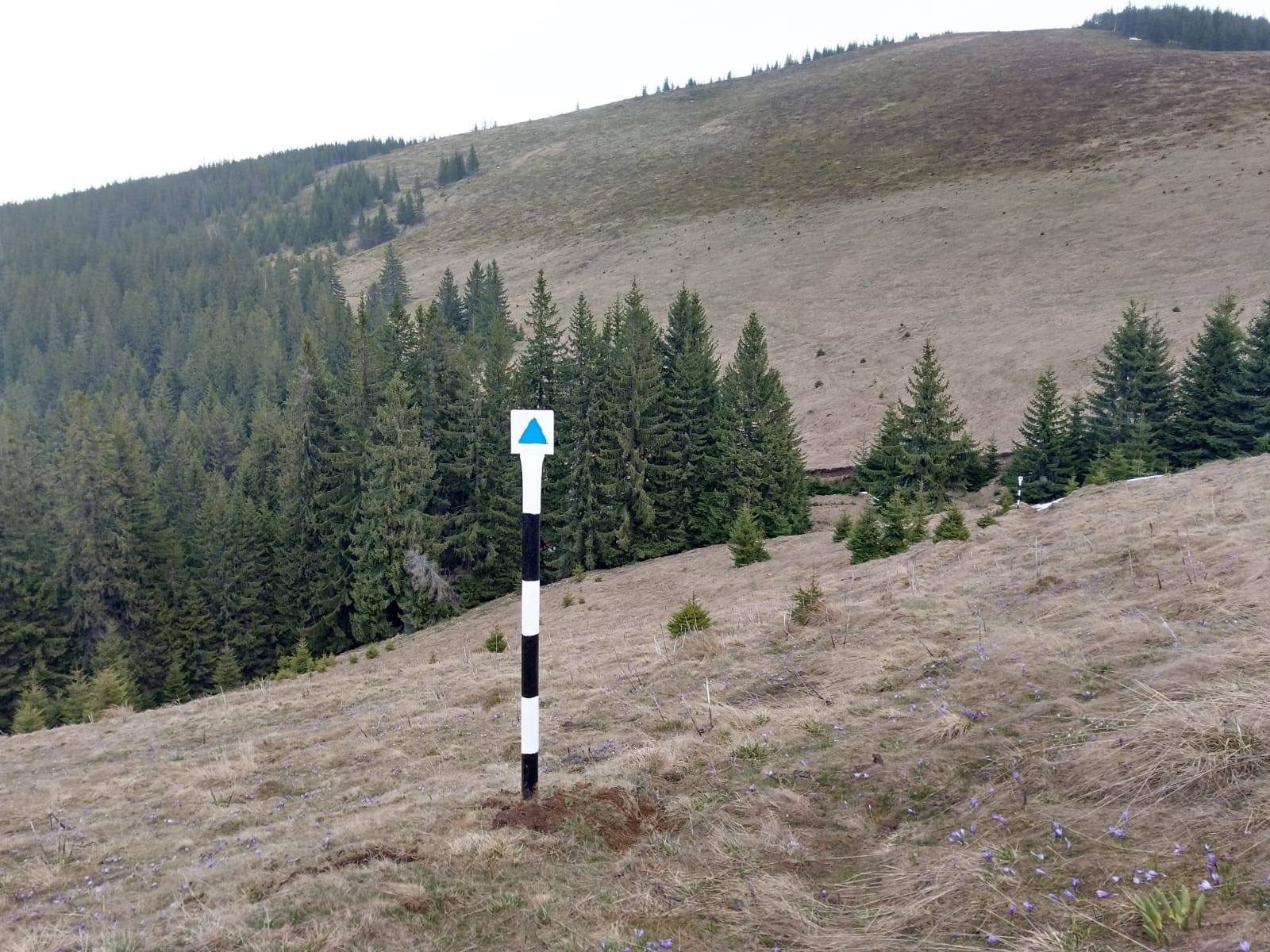 Circuit in Muntii Lotrului Cabana si Varful Prejba | BookTes