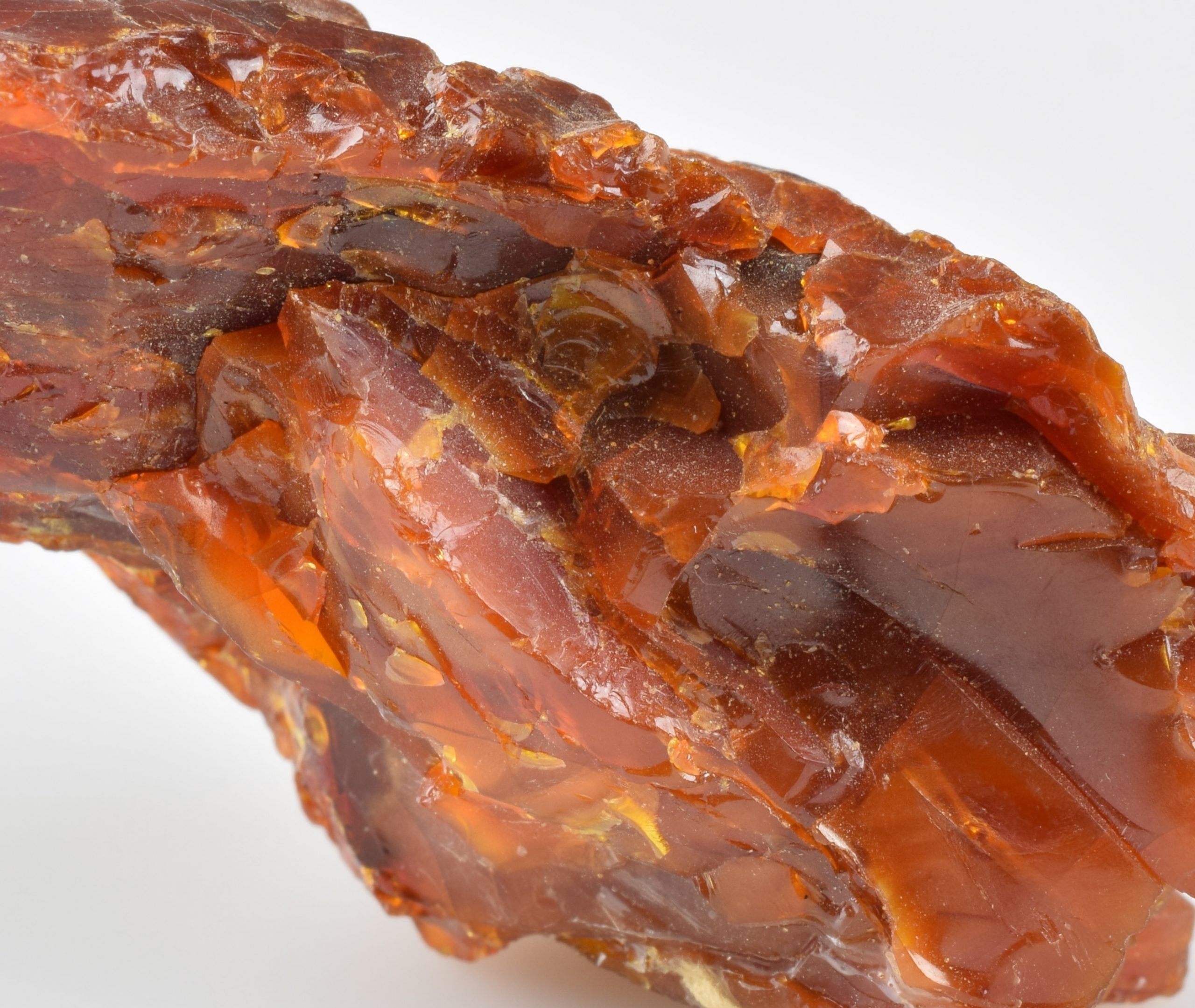 Muzeul Chihlimbarului Colti | BookTes